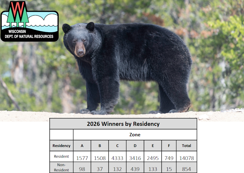 Wisconsin Releases 2026 Bear Permit Drawing Results — Hunters Should ...